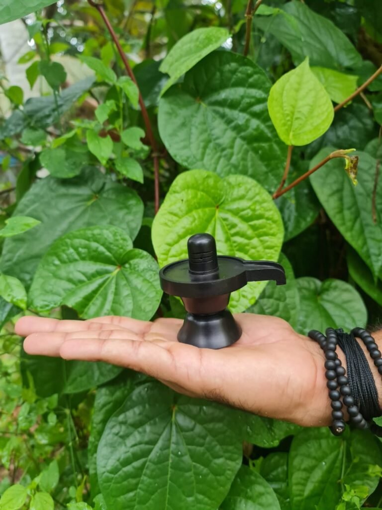 Karungali Shiva Lingam 3 Inch – aathilife