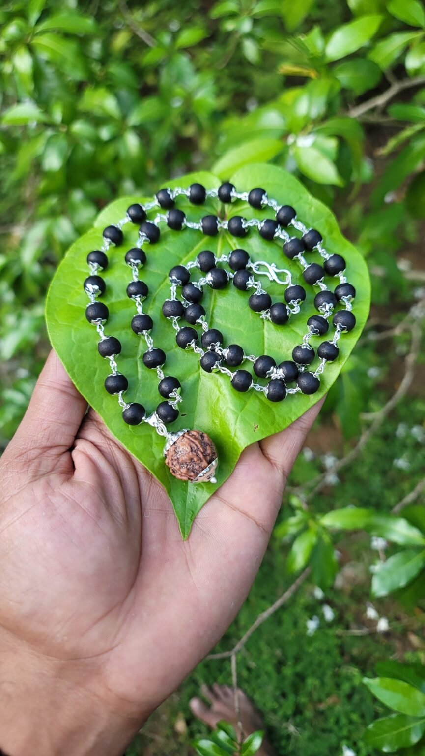 Karungali German Silver Mala with Rudraksha Dollar – aathilife